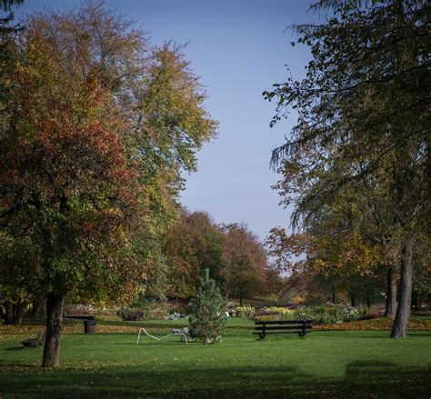 Tombe Couleurs D Automne Feuilles Photo Gratuite Sur Pixabay Pixabay