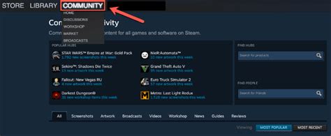 A Steam Guide For Beginners To Get Started