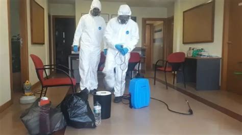 Empresa de fumigación en San Blas Madrid 91 674 35 05 IDEAL