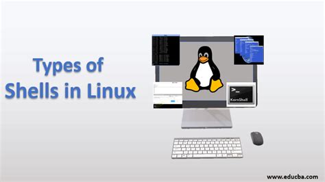 Types Of Shells In Linux 7 Most Popular Types Of Shells In Linux