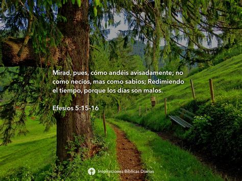 Efesios Inspiraciones B Blicas Diarias