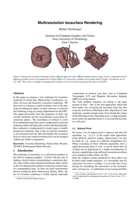 pdf multiresolution isosurface rendering