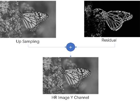 figure 4 from sesr single image super resolution with recursive squeeze and excitation networks