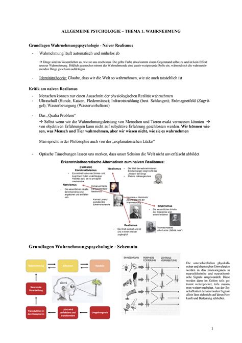 Wahrnehmung Allgemeine Psychologie Warning TT Undefined Function