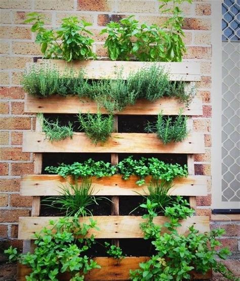 DIY Ideas How To Build A Vertical Herb Garden From A Wooden Pallet