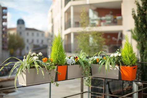 C Mo Elegir Jardineras E Ideas Para Decorar Con Ellas