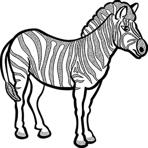 Desenhos De ZEBRAS Para Imprimir E Colorir