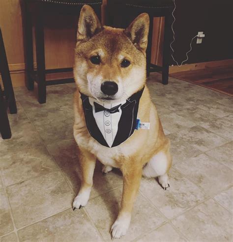 Sadkamina On Twitter Rt Raskyperro Yo Ya Estoy Listo Pasad Una