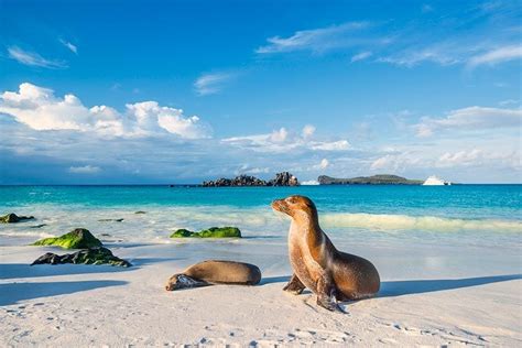 Islas Galápagos un laboratorio natural en medio del Pacífico Foto 4