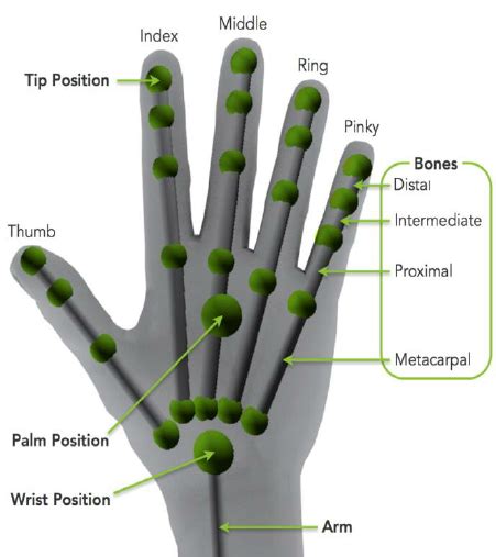the neural network of hand gesture recognition table 1 characteristics download scientific