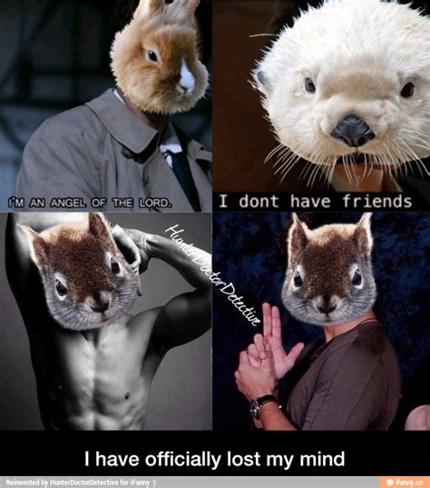 I Have Officially Lost My Mind I Have Officially Lost My Mind