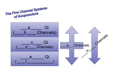 Celeste Final Exam Diagram Quizlet