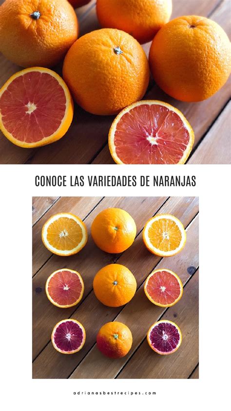 Guia De Naranjas Conoce Las Diferencias Tipos De Naranjas Naranja
