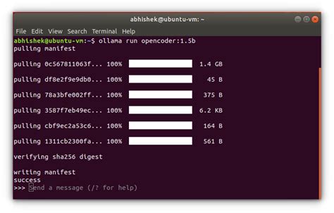 Running Opencoder Llm In Vs Code A Local Copilot Alternative