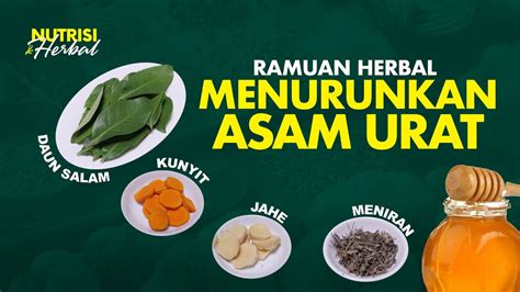 Mudah Murah Racik Ramuan Herbal Untuk Menurunkan Asam Urat Nutrisi