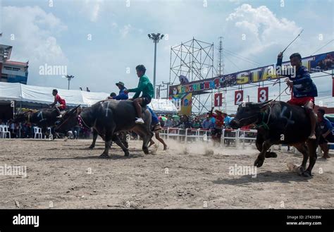 Los jinetes compiten en el festival anual de la carrera de búfalos de