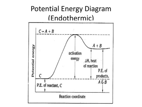 Endothermic Graph Labeled