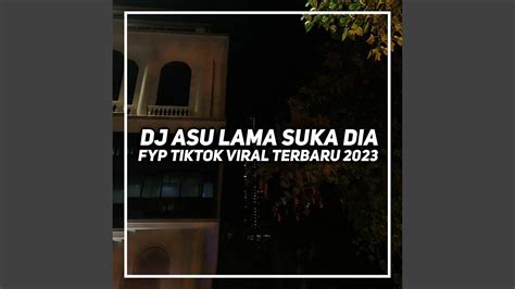 Dj Asu Lama Suka Dia Slow YouTube Music