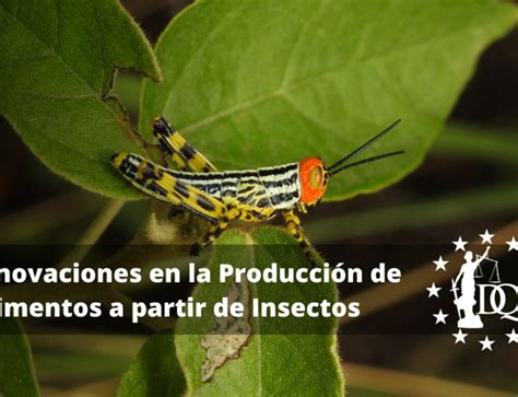 Clasificación de los Alimentos Función Origen y Nutrientes