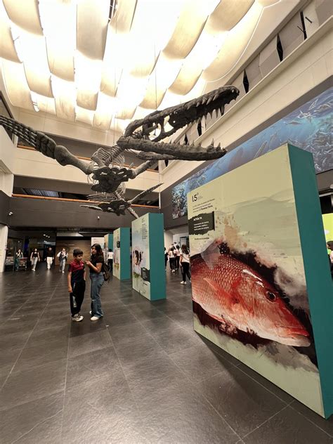 Universum Museo On Twitter Rt Punto Grados Termina El Tour