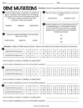 Gene Mutation Worksheet Answers