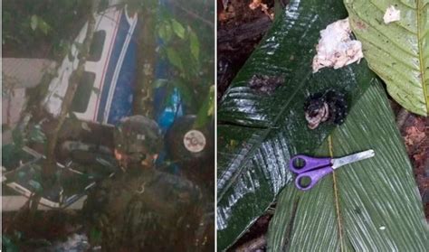 Qué se sabe de los 4 niños que desaparecieron en la selva tras un