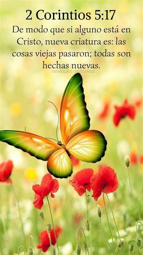 Descubrir 98 Imagen Frases De Bendiciones Biblicas Abzlocal Mx