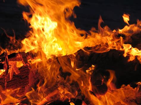 Ingyenes K Pek Uszad K Szabadt Ri F Nyl Faipari Jszaka F St