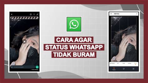 CARA AGAR STATUS WA TIDAK BURAM PAKAI VENLOW PREMIUM APK 2023 YouTube