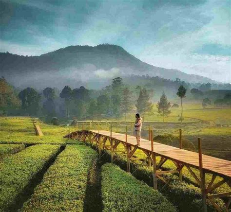 30 Tempat Wisata Di Pangalengan Cocok Untuk Liburan Keluarga Info Area