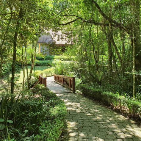 Bosque Alemão como chegar dicas informações e atrações