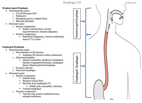 Causes Of Dysphagia