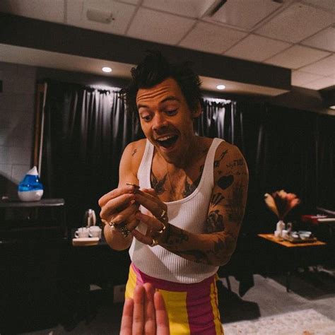 Harry Styles Brasil On Twitter QUE LINDO Descobrimos O Que