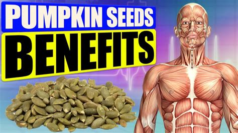 Eat Pumpkin Seeds Daily And Get These Incredible Health Benefits YouTube