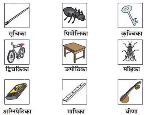 NCERT CLASS 6 SANSKRIT CHAPTER 2 SBSE BEST BLOG