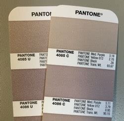What Is The Difference Between Pantone C And U