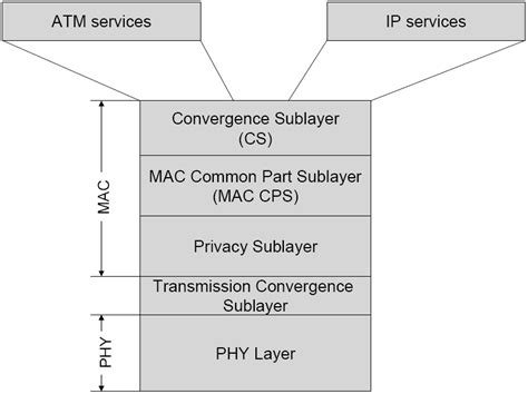 ieee 802 16 protocol architecture download scientific diagram