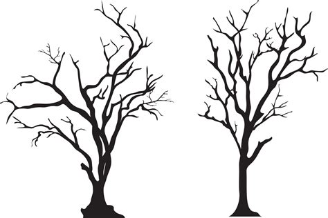Silueta De Arbol Sin Hojas 5544781 Vector En Vecteezy