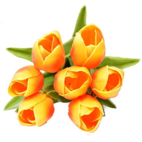 Tulipany Bukiet Tulipan W Gumowane Gumowe Jak Ywe Tulipan Gumowy