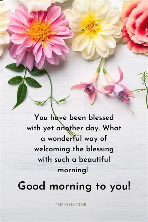You Have Been Blessed With Yet Another Day What A Wonderful Way Of