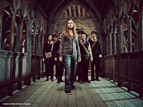 Harry Potter And Ginny Weasley Wallpapers Wallpaper Cave