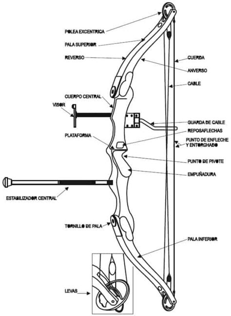Equipamiento De Tiro Con Arco Glosario Completo2021