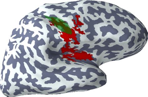 5 example of applying a clustering algorithm with size regularization download scientific