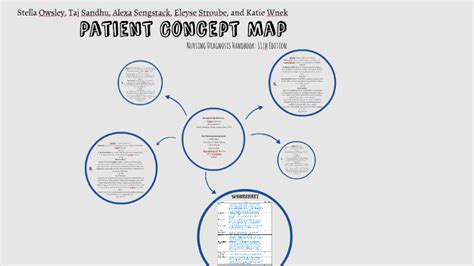 Patient Concept Map