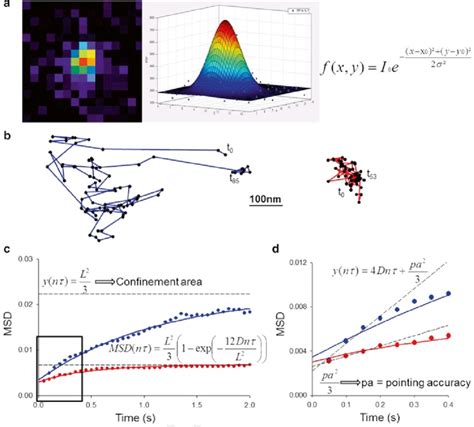 example of single particle and trajectory analysis a the download scientific diagram