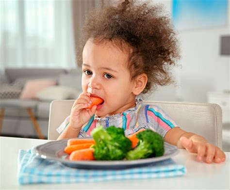 BLW um método de introdução alimentar Blog Tip Top