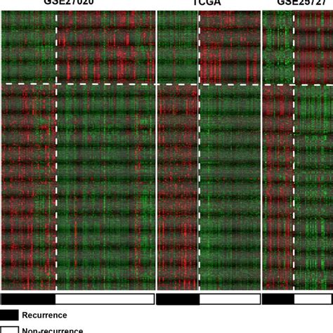 A Two Way Hierarchical Clustering Heat Map Of Tcga Gse And