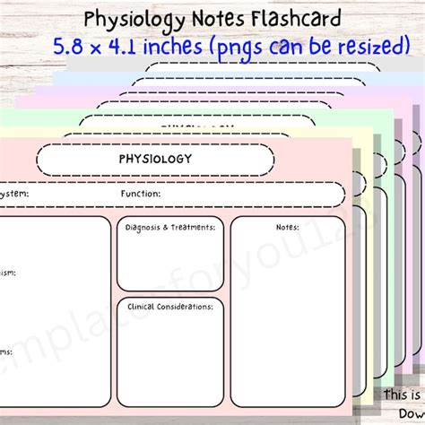 Anatomy And Physiology Notes Template Etsy