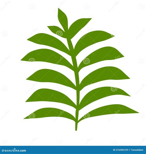 Hoja De Helecho Elemento De La Naturaleza Y El Bosque Planta De
