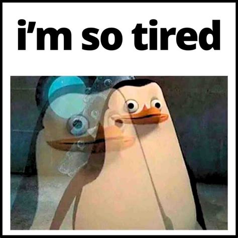 37 Funny Tired Memes For The Exhausted And Sleep Deprived